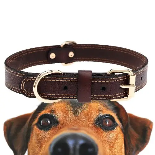 Top 9 Best Leather Dog Collars & Leashes in 2024 - Leather Toolkits
