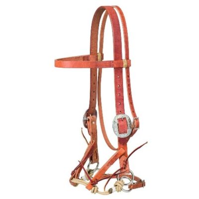 Top 5 Best Bitless Bridles for a Horse in 2025 - Leather Toolkits