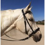 Top 5 Best Bitless Bridles for a Horse in 2025 - Leather Toolkits