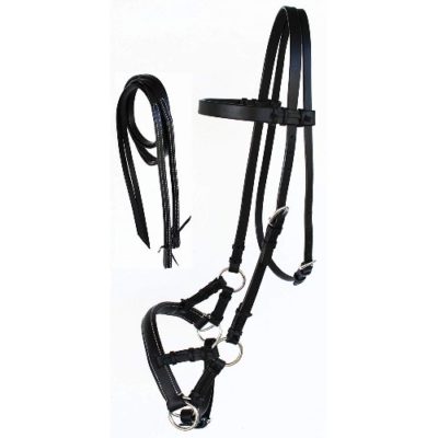 Top 5 Best Bitless Bridles for a Horse in 2025 - Leather Toolkits