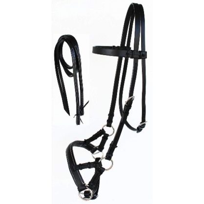 Top 5 Best Bitless Bridles for a Horse in 2025 - Leather Toolkits