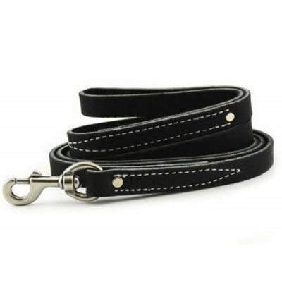Top 5 Best Leather Dog Leashes in 2024 - Leather Toolkits