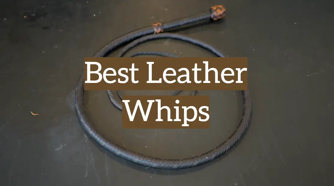 Top 5 Leather Whips [2020 Reviews] - Leather Toolkits