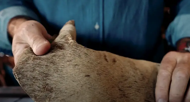 Cowhide Leather: Features, Care And Tips For Beginners - Leather Toolkits