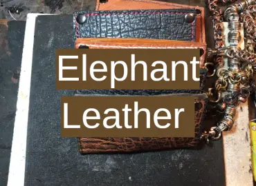 Hippo Leather: Uses, Pros and Cons - Leather Toolkits